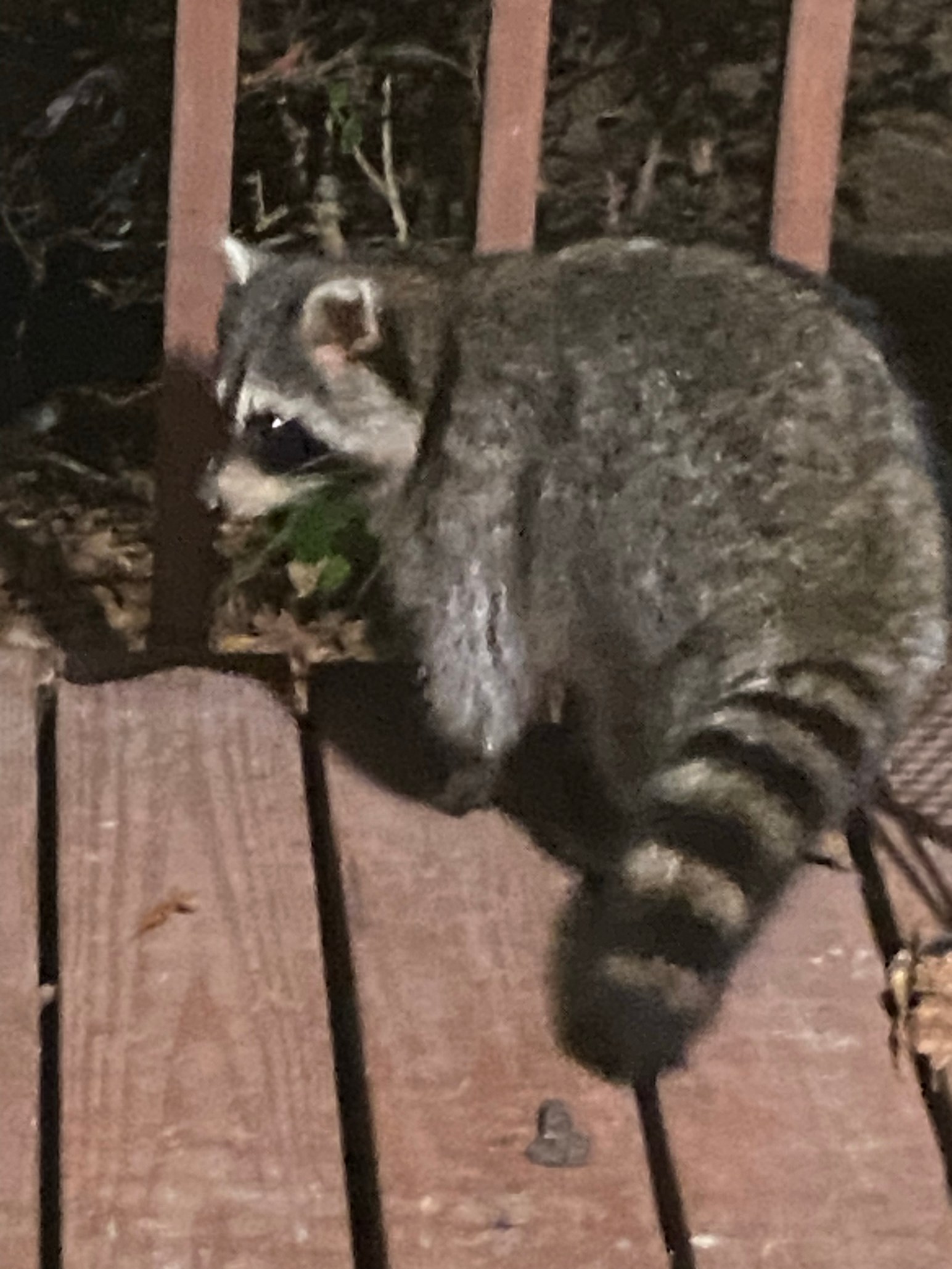 This Puzzled Life – Mental Health Blogger dissociative identity ...